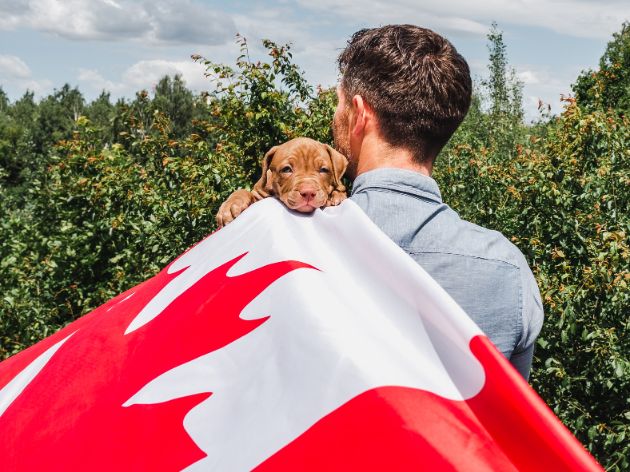 What Are the 4 Types of Immigrants in Canada?